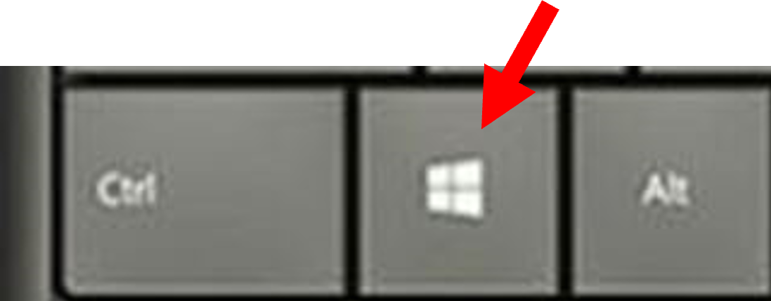 Is it possible to programmatically disable the keyboard Windows key ...